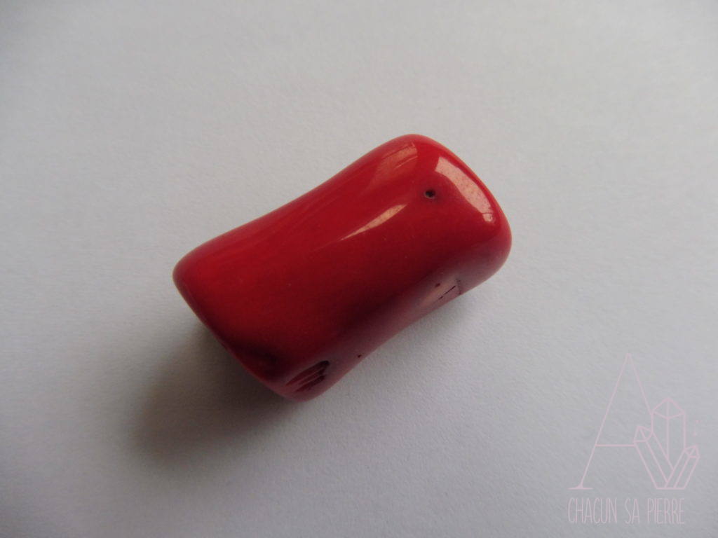 Corail rouge morceau poli | A Chacun sa Pierre